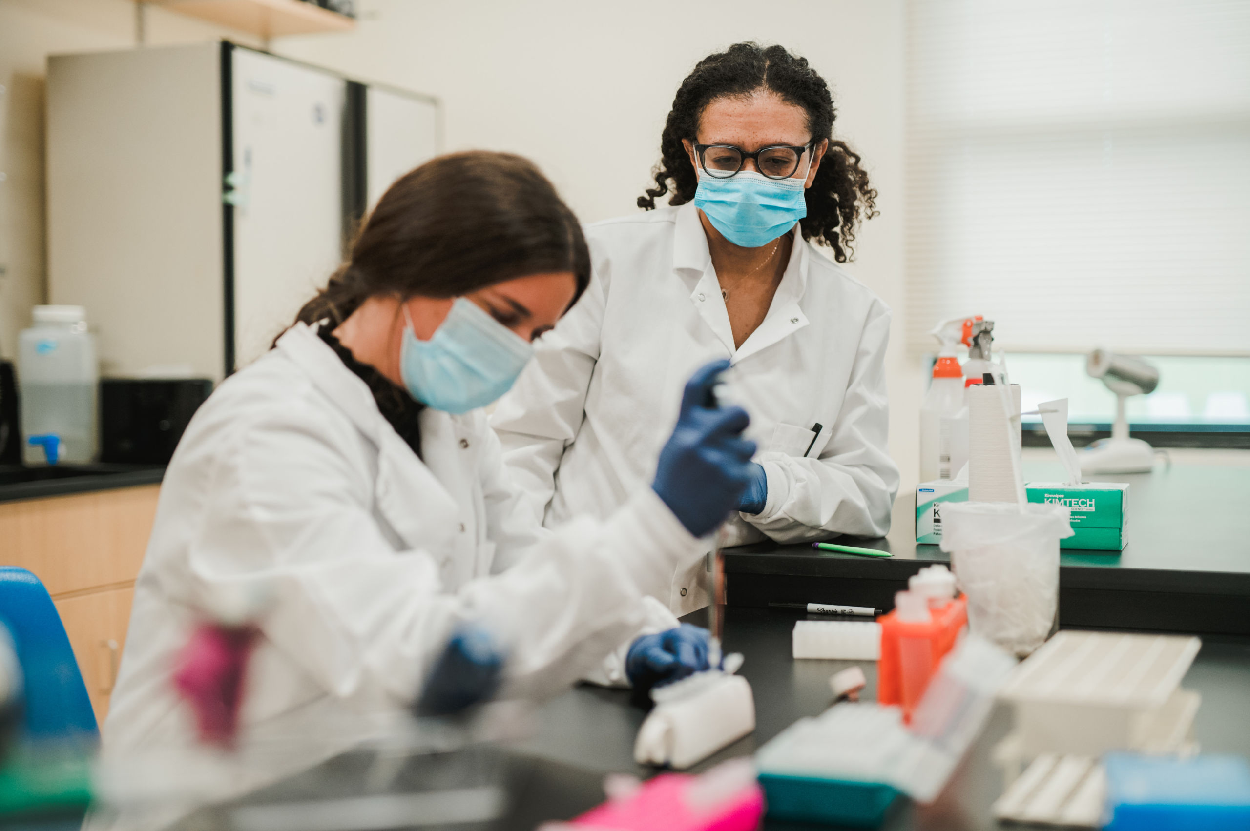 Science Programs | Saint Joseph’s College of Maine